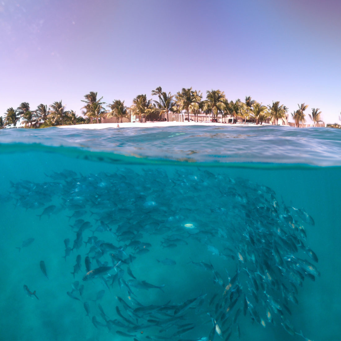 Africa's Savannah to Sea • Wildlife Photography • Mission 05